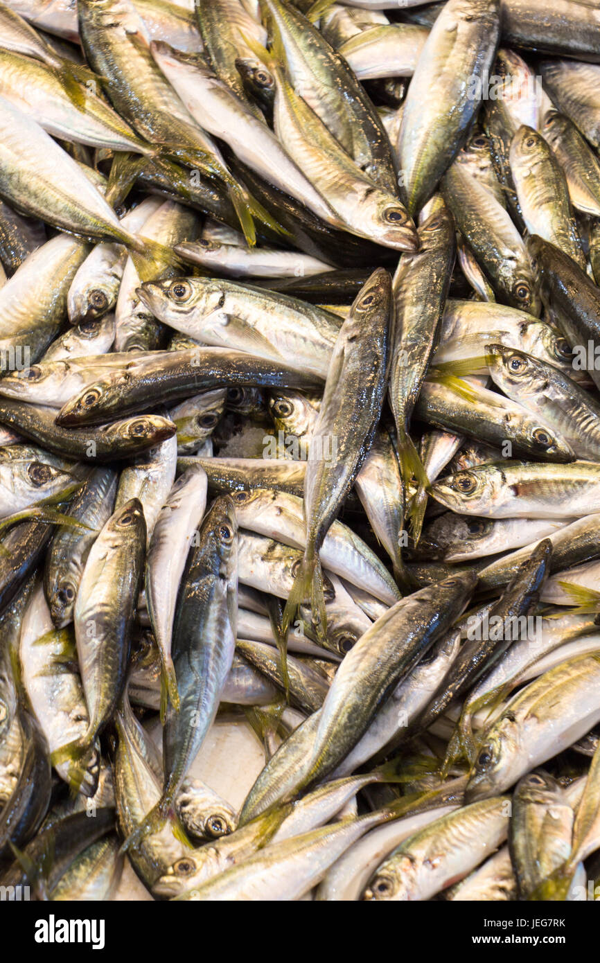 Fresh for sale at a fish market Stock Photo - Alamy