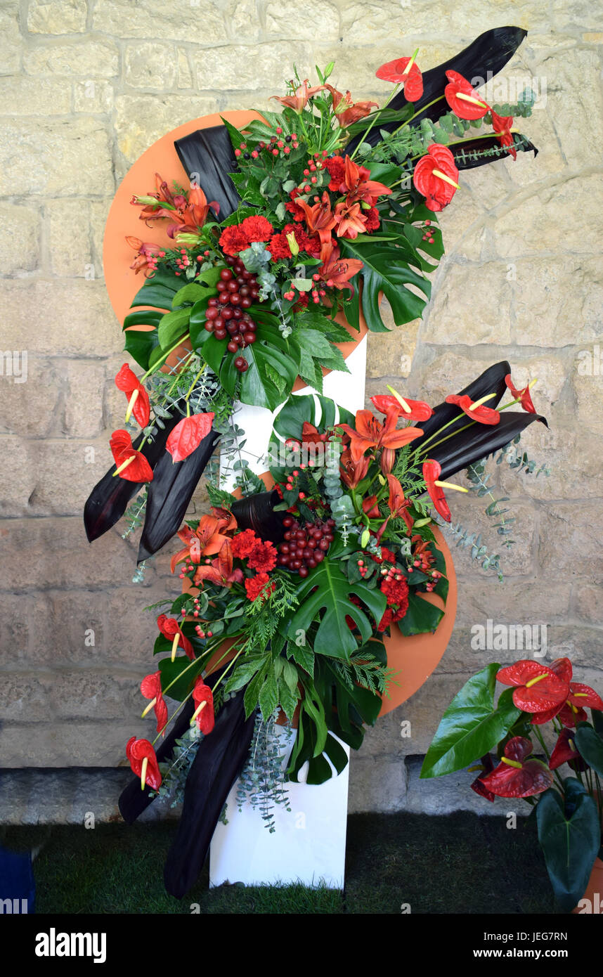 Holiday of the flowers in Gerona Stock Photo - Alamy