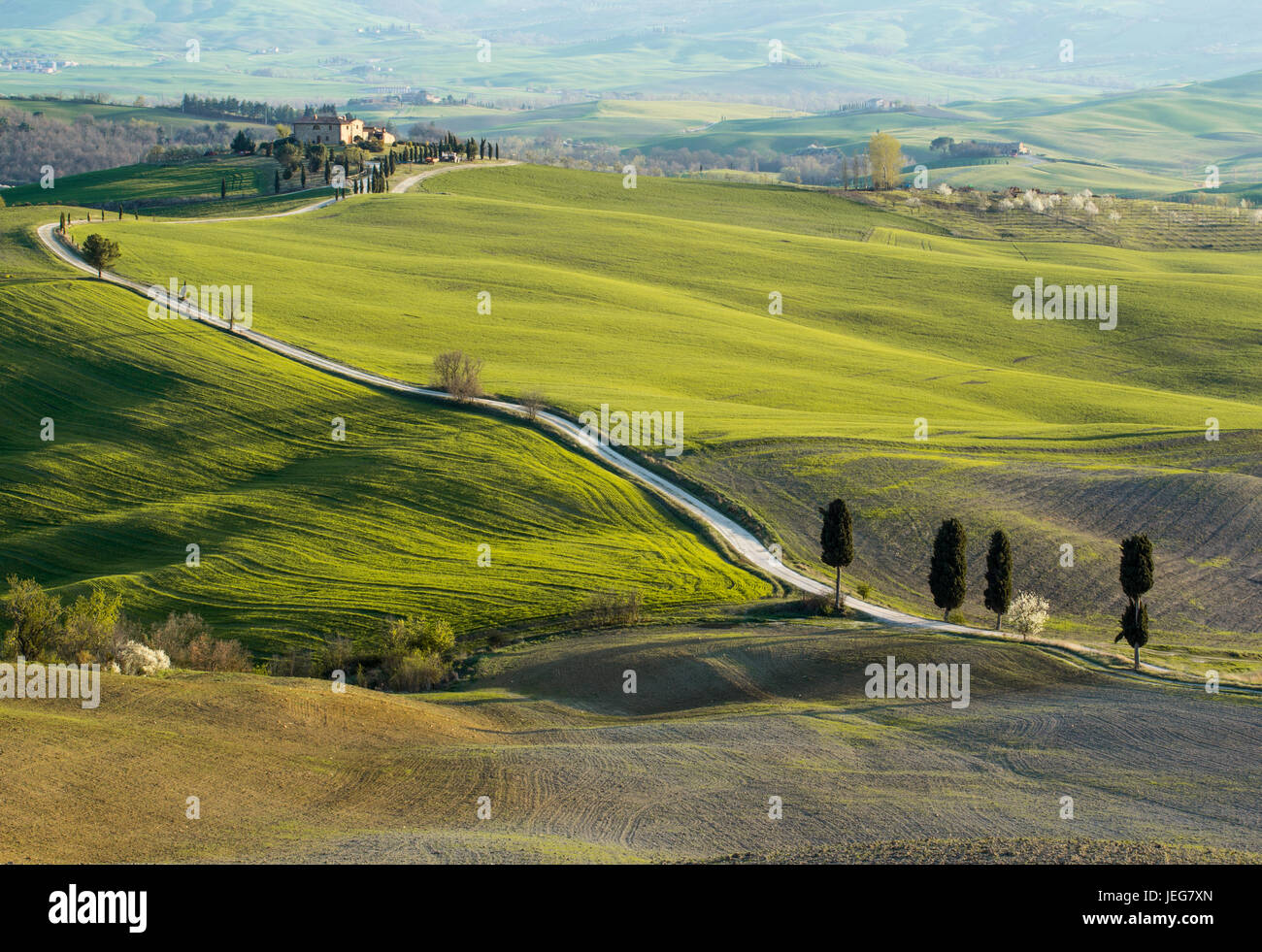 Gladiator fields hi-res stock photography and images - Alamy