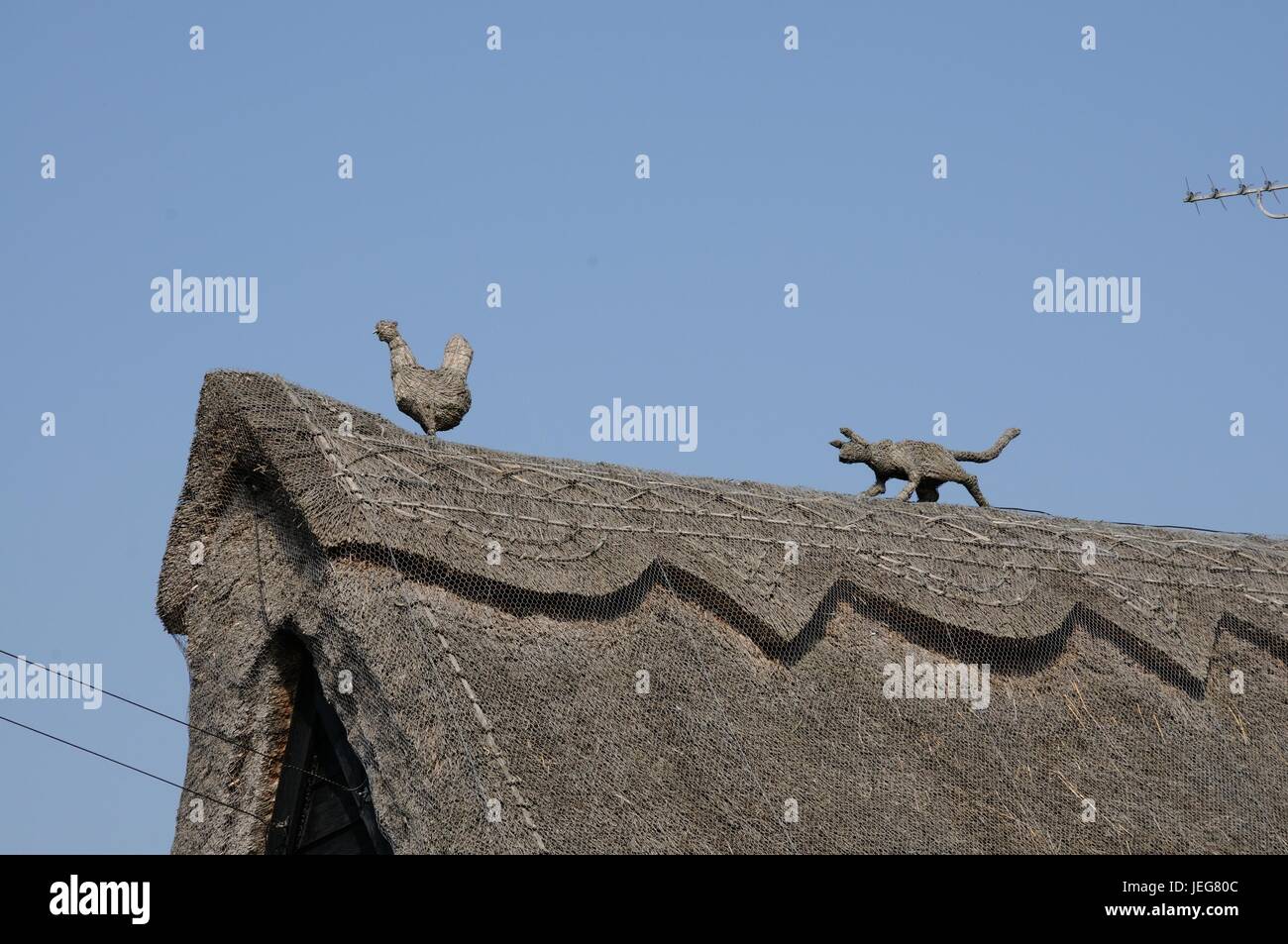 No 48 High Street, Great Shelford, Cambridgeshire, which is a timber ...