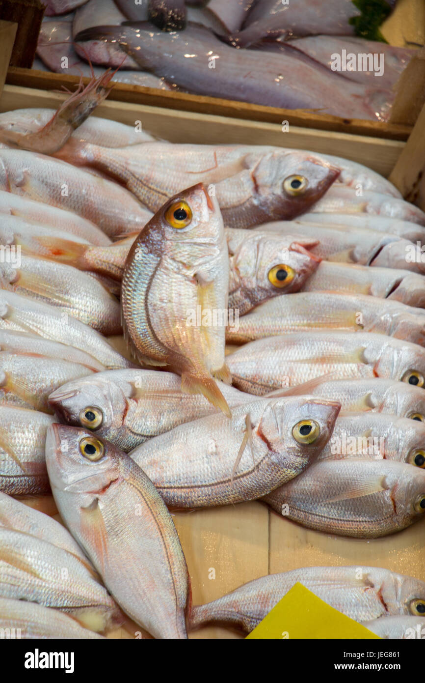Fresh for sale at a fish market Stock Photo - Alamy