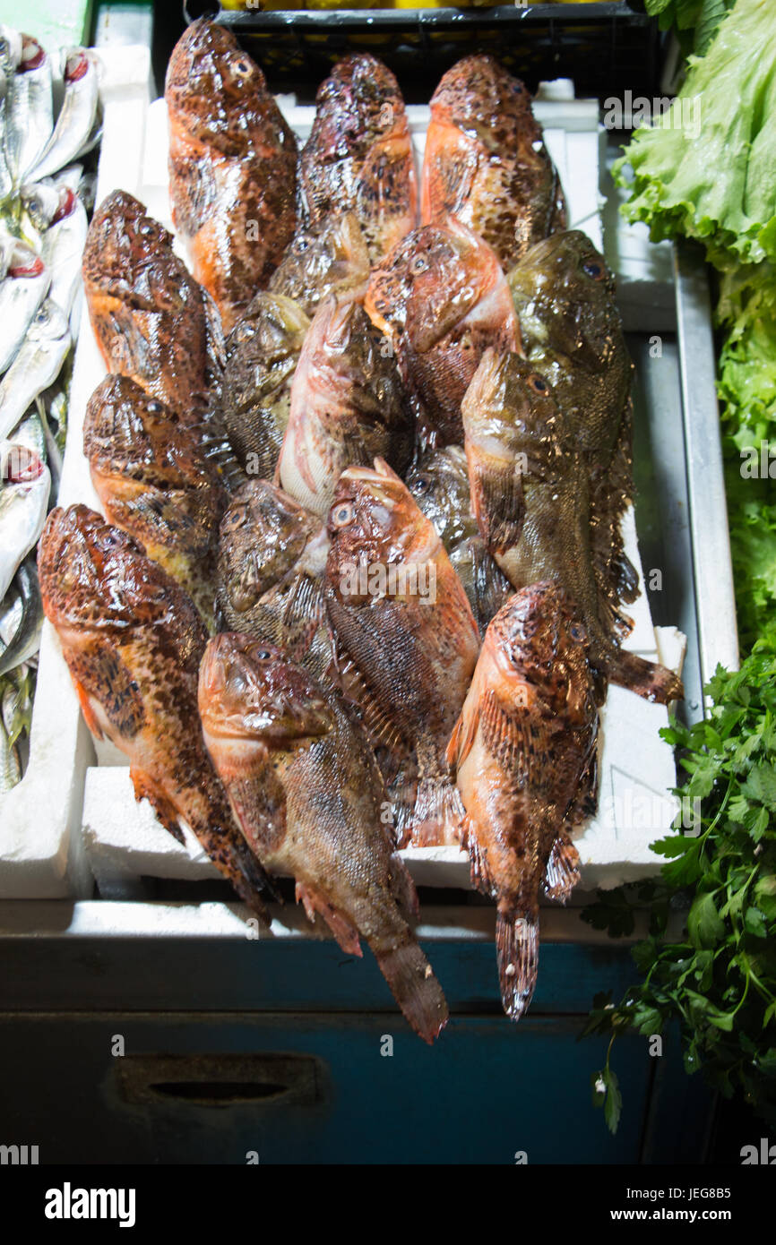 Fresh for sale at a fish market Stock Photo - Alamy