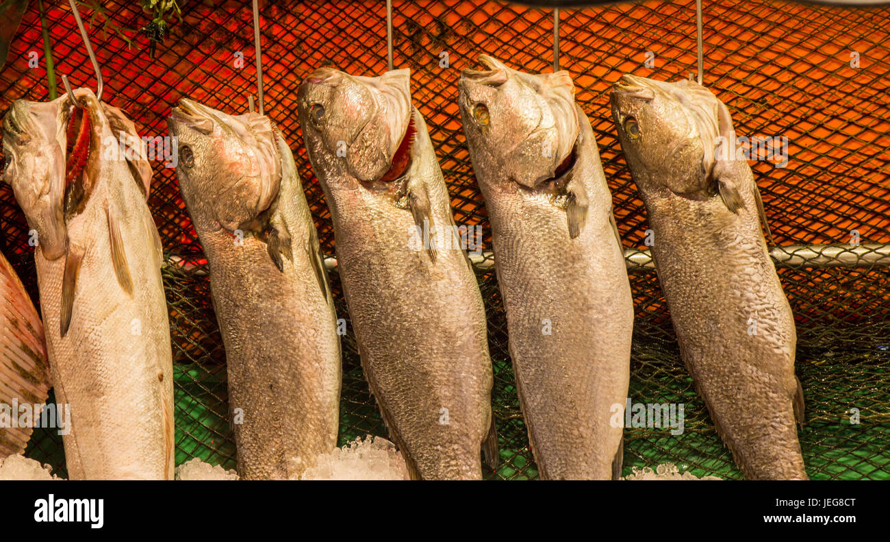 Fresh for sale at a fish market Stock Photo - Alamy