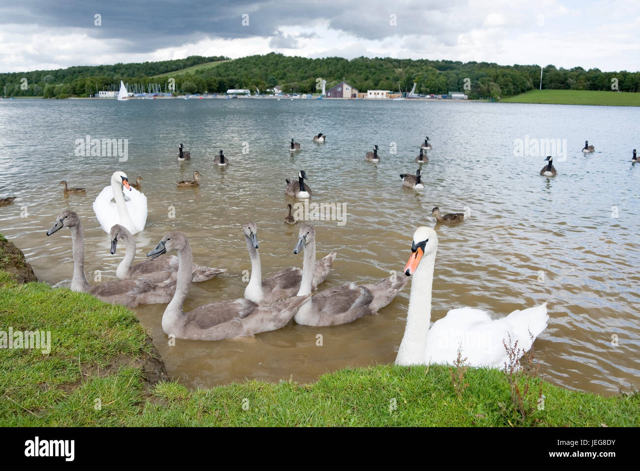Rother valley country park hi-res stock photography and images - Alamy
