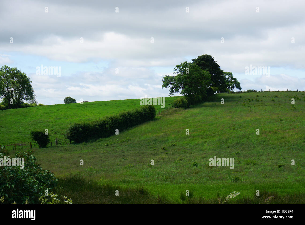 Ireland county tyrone omagh hi-res stock photography and images - Alamy