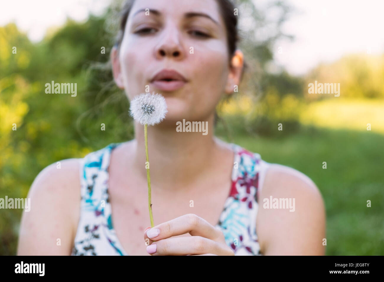 Woman hand blowing dandelion hi-res stock photography and images - Alamy