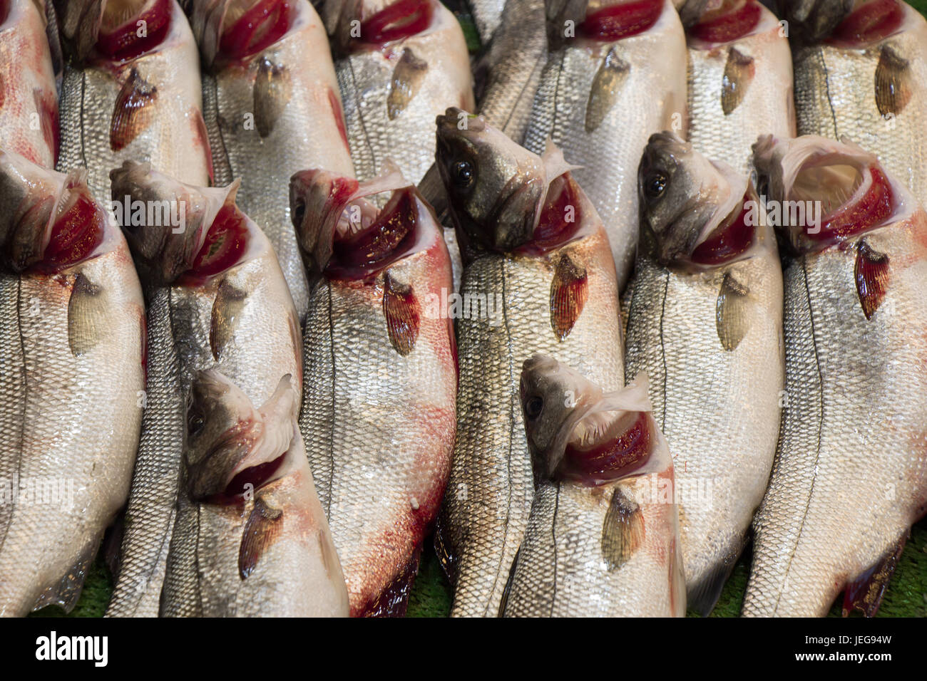 Fresh for sale at a fish market Stock Photo - Alamy