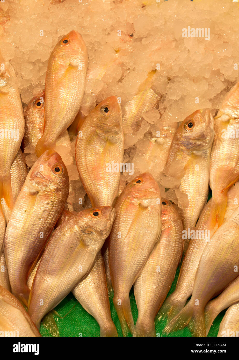 Fresh for sale at a fish market Stock Photo - Alamy