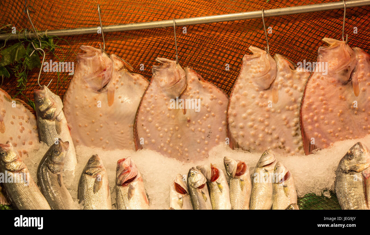 Fresh for sale at a fish market Stock Photo - Alamy