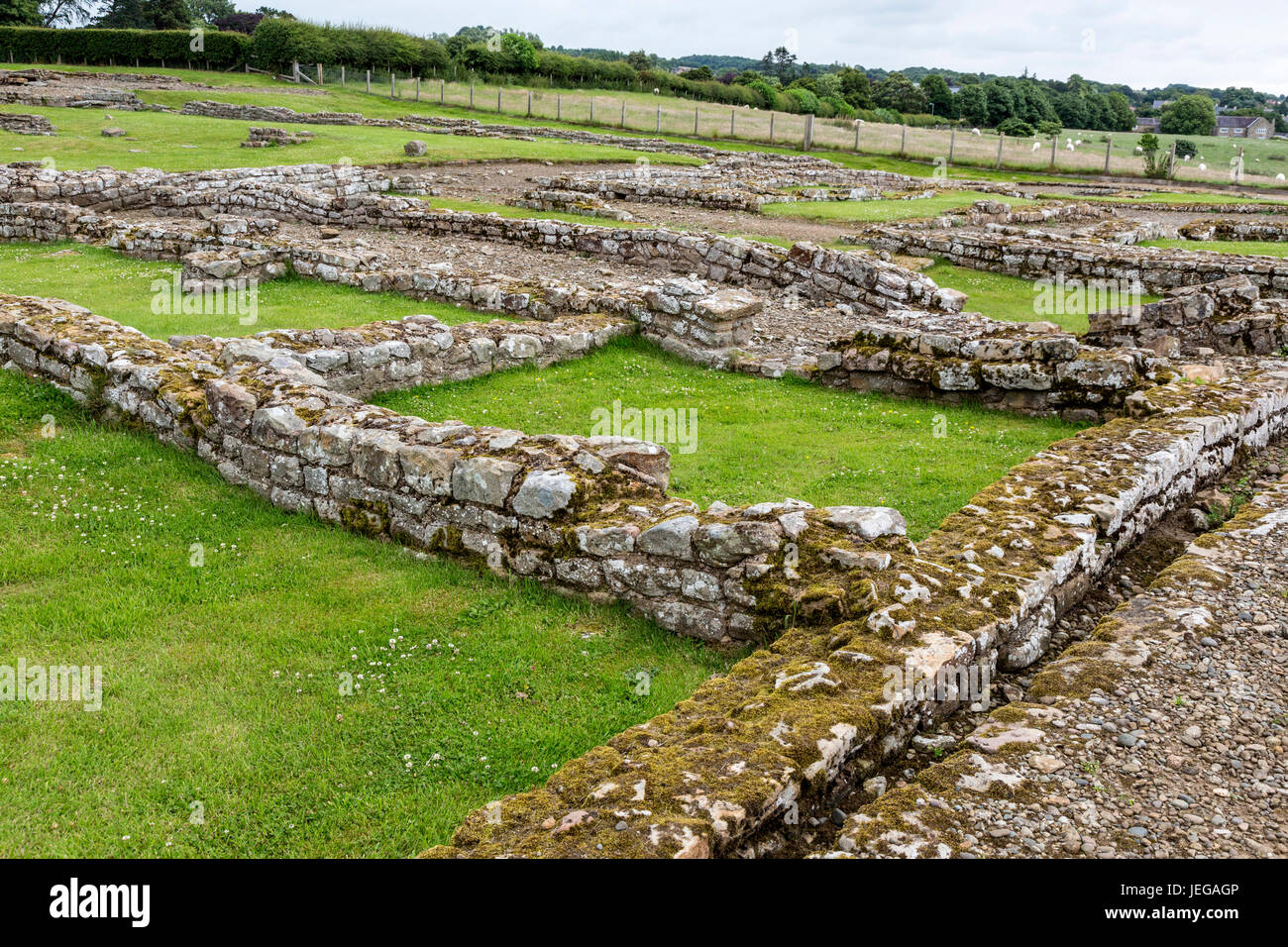 Northumberland, England, UK. Corbridge Roman Town Stock Photo - Alamy