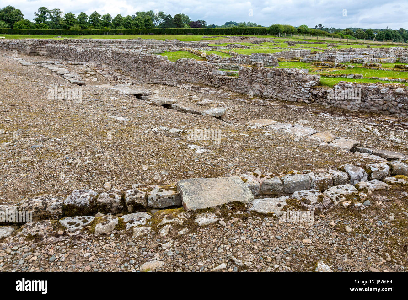 Roman ruins at corbridge hi-res stock photography and images - Alamy