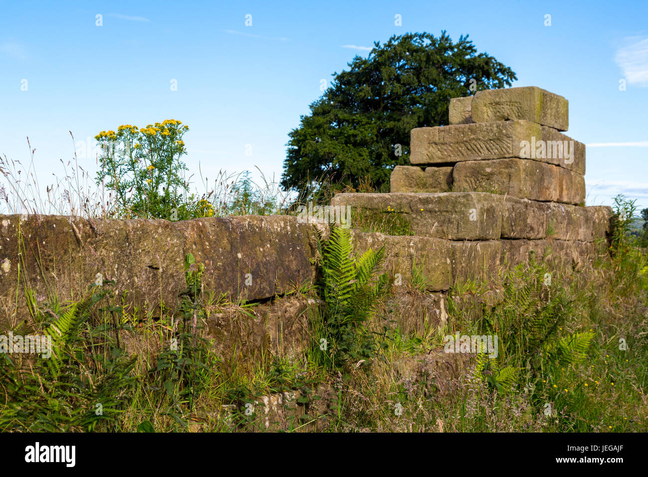 Corbridge, Northumberland, England, UK. Reconstructed Walkway to Roman ...