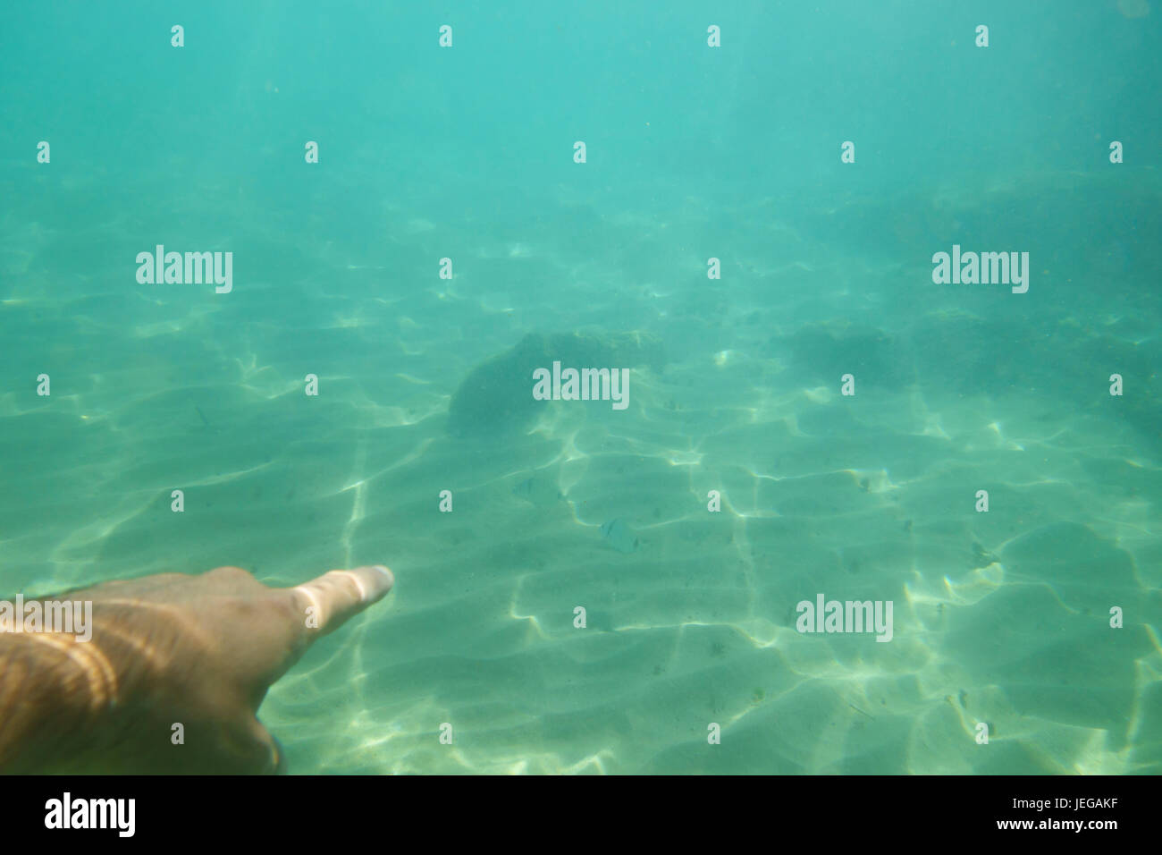 Finger pointing underwater in clear sea Stock Photo - Alamy