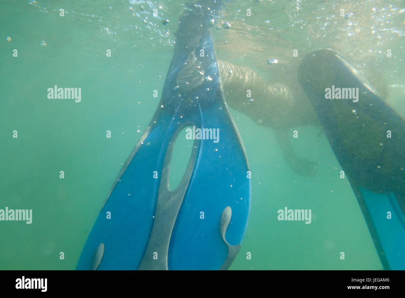 Swimming underwater with blue flippers Stock Photo - Alamy