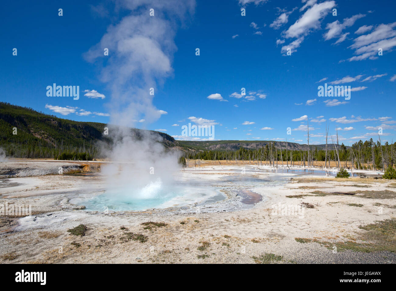 Geyser eruption in the Yellowstone national park, USA Stock Photo - Alamy