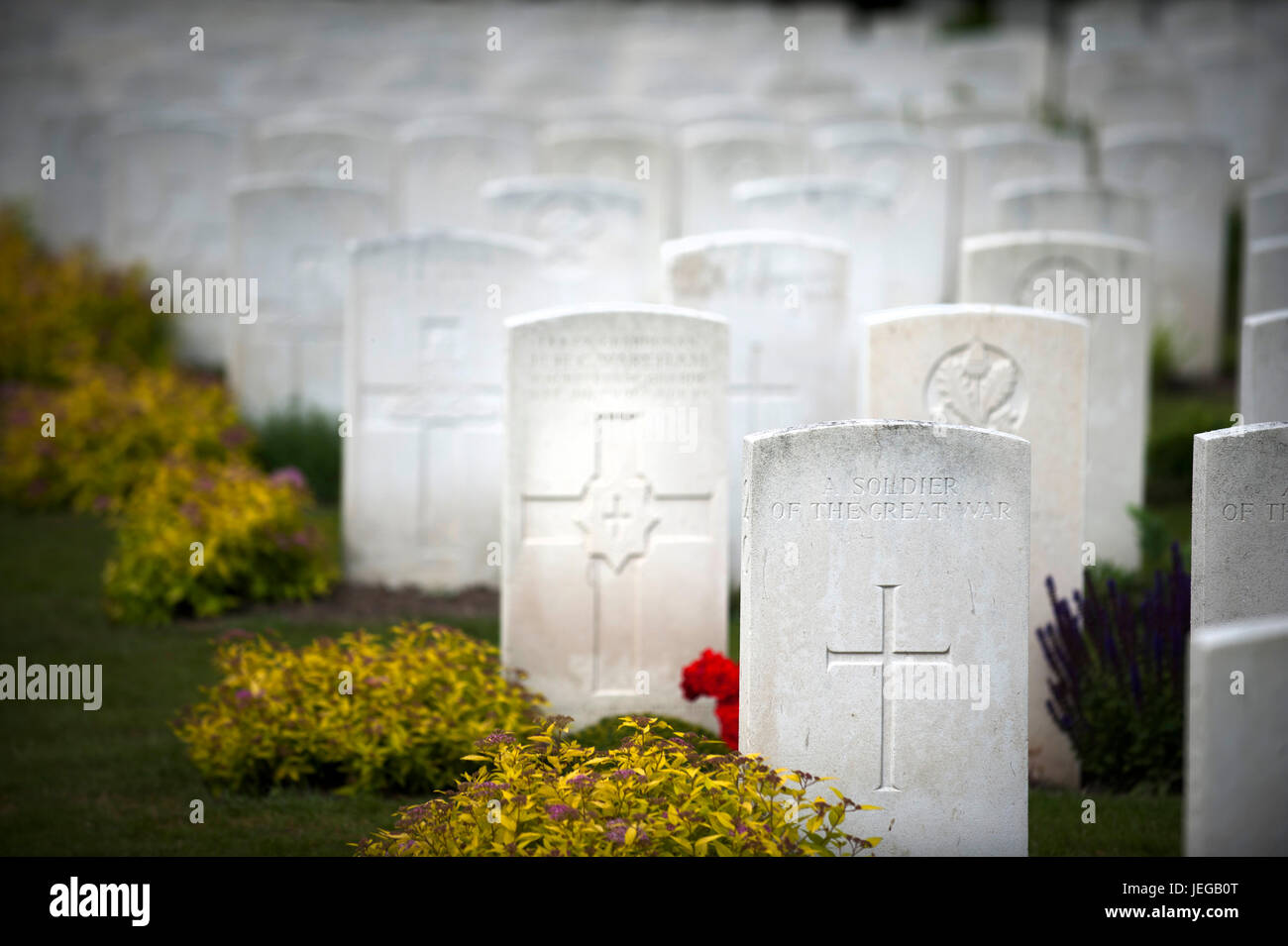 Western front cemetery hi-res stock photography and images - Alamy