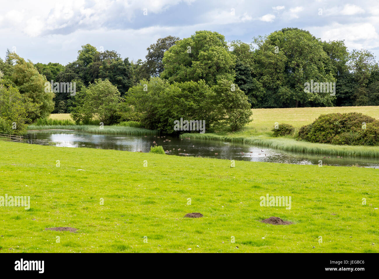 Uk pasture hi-res stock photography and images - Alamy