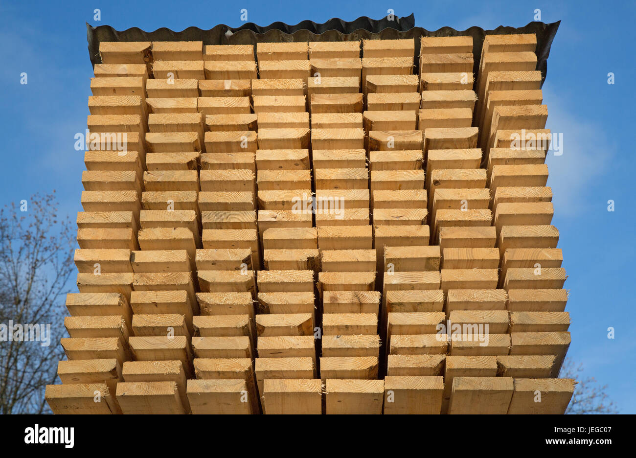 Stack of new wooden studs at the lumber yard Stock Photo - Alamy
