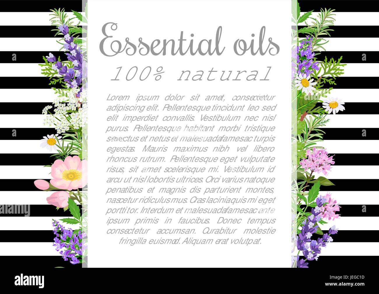 Popular essential oil plants label set. badge with text Stock Vector ...