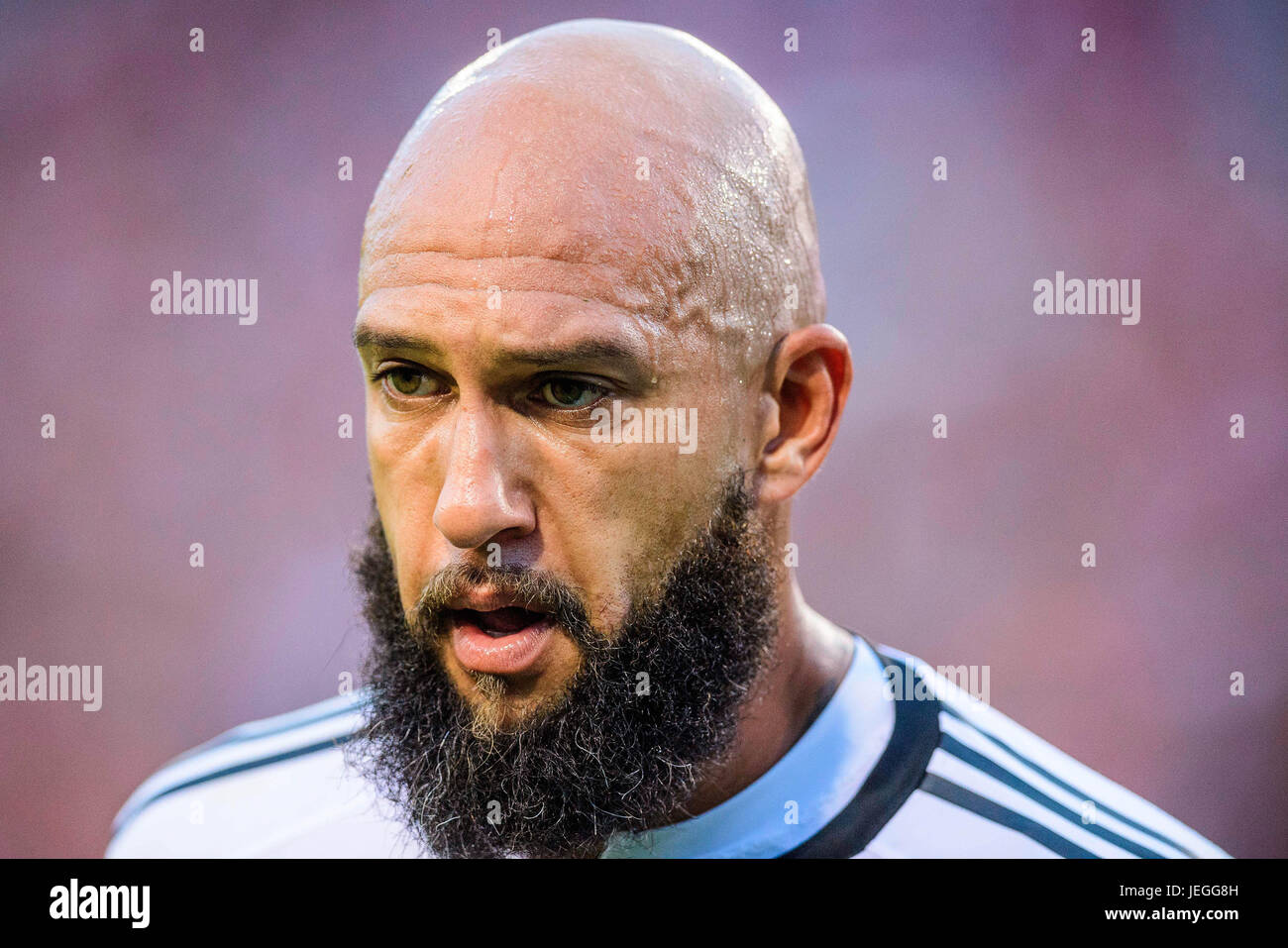 American goalkeeper tim howard hi-res stock photography and images - Alamy