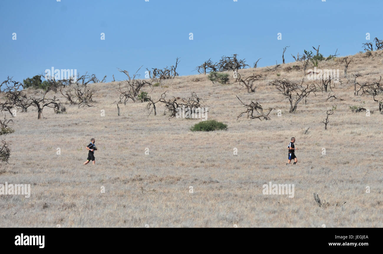 Nairobi. 24th June, 2017. Runners compete during the 2017 Safaricom ...