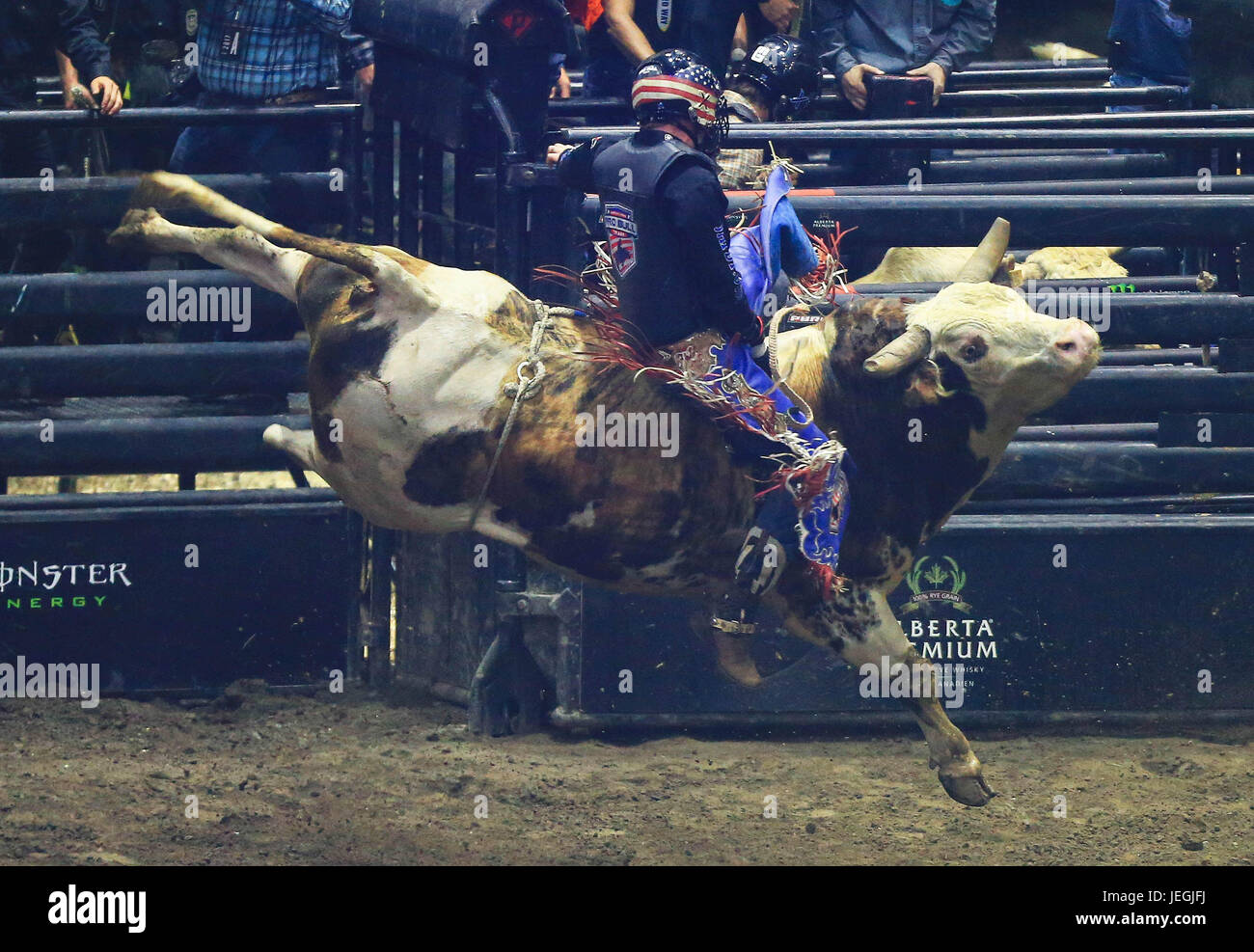 Professional bull riders hi-res stock photography and images - Alamy