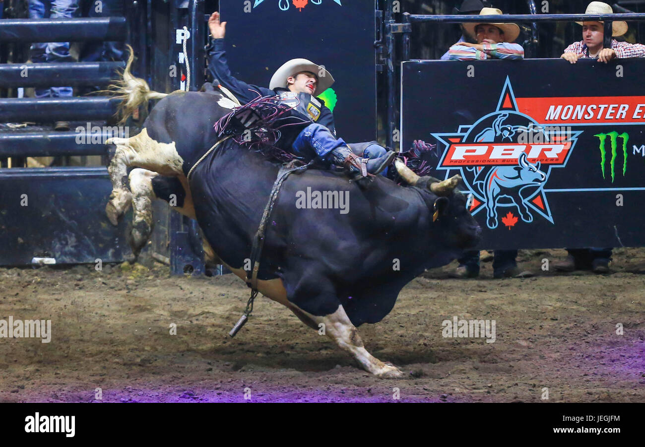 Cowboy pbr bull hi-res stock photography and images - Alamy