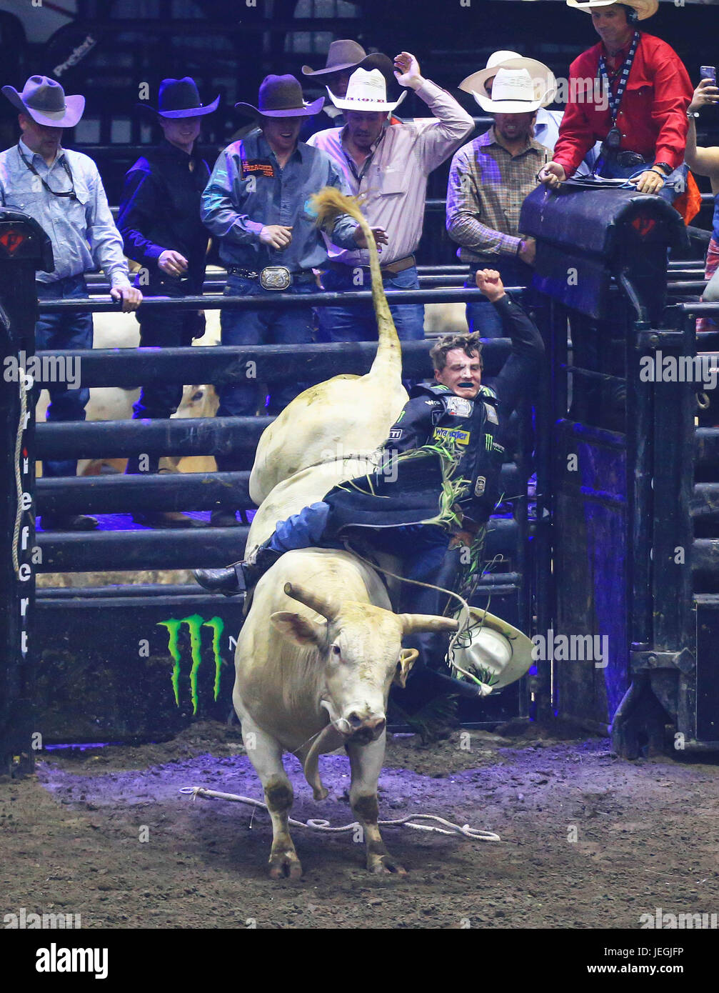 Professional bull riders hi-res stock photography and images - Alamy