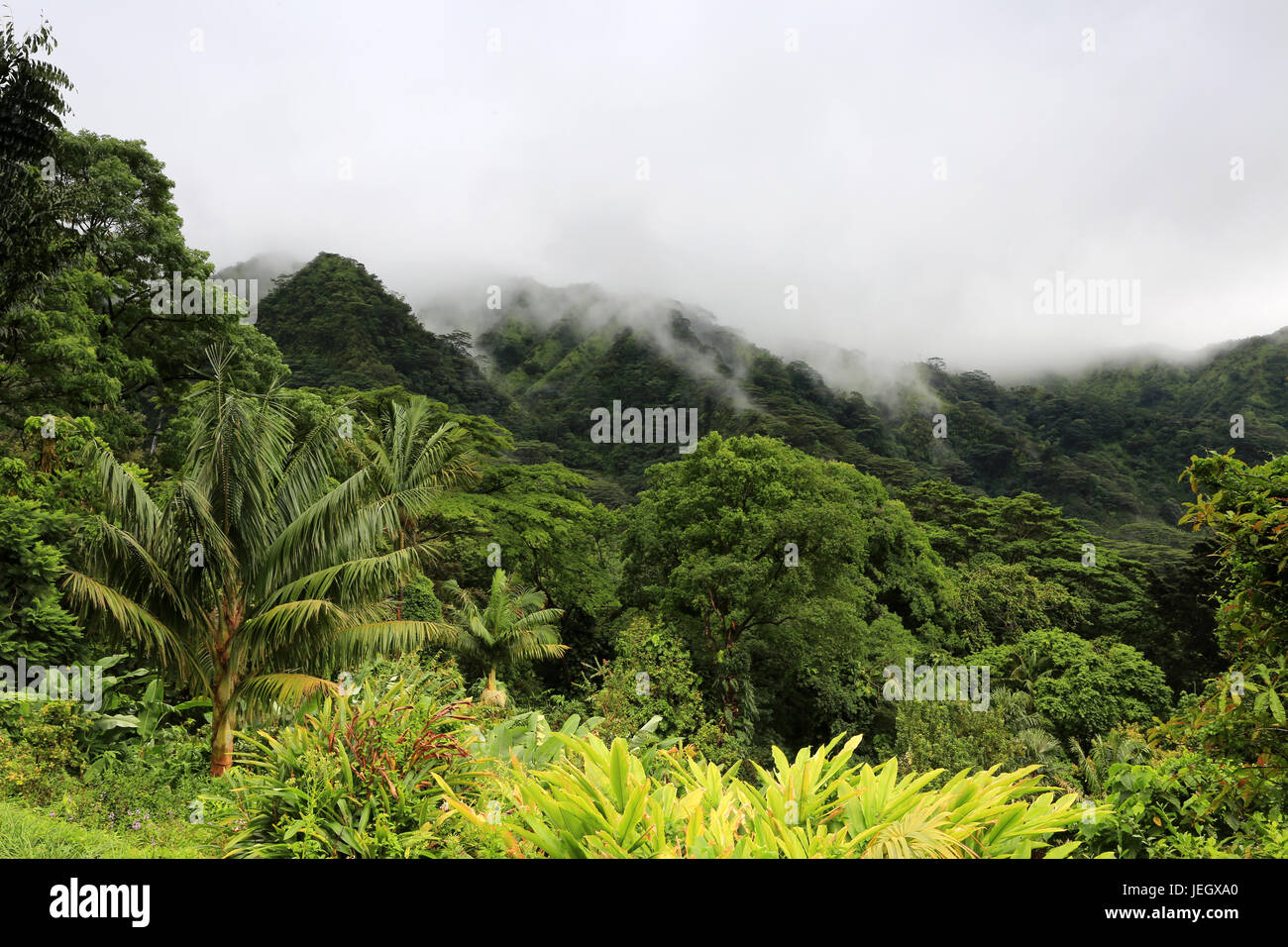 Jungle ranges hi-res stock photography and images - Alamy