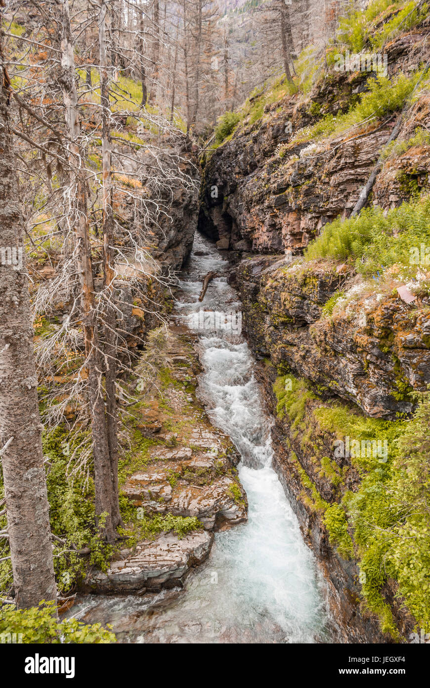 Stream coming through small canyon Stock Photo - Alamy