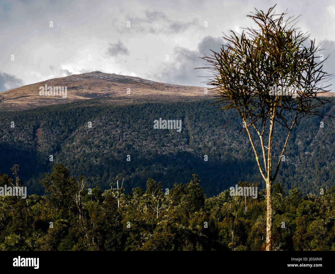 Hauhungatahi, Tongariro National Park, New Zealand Stock Photo - Alamy