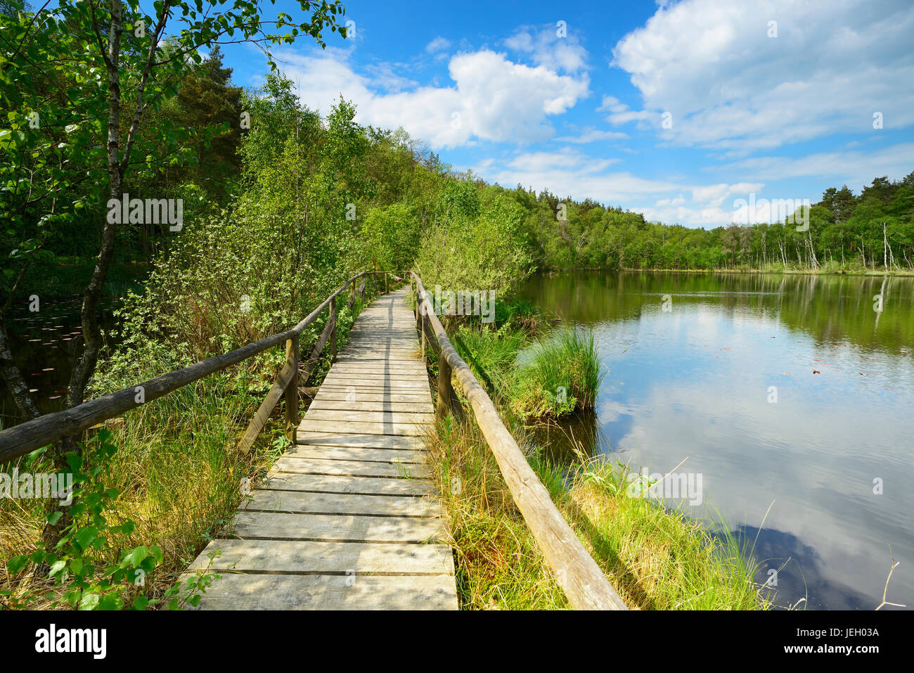 Boarded footpath hi-res stock photography and images - Alamy