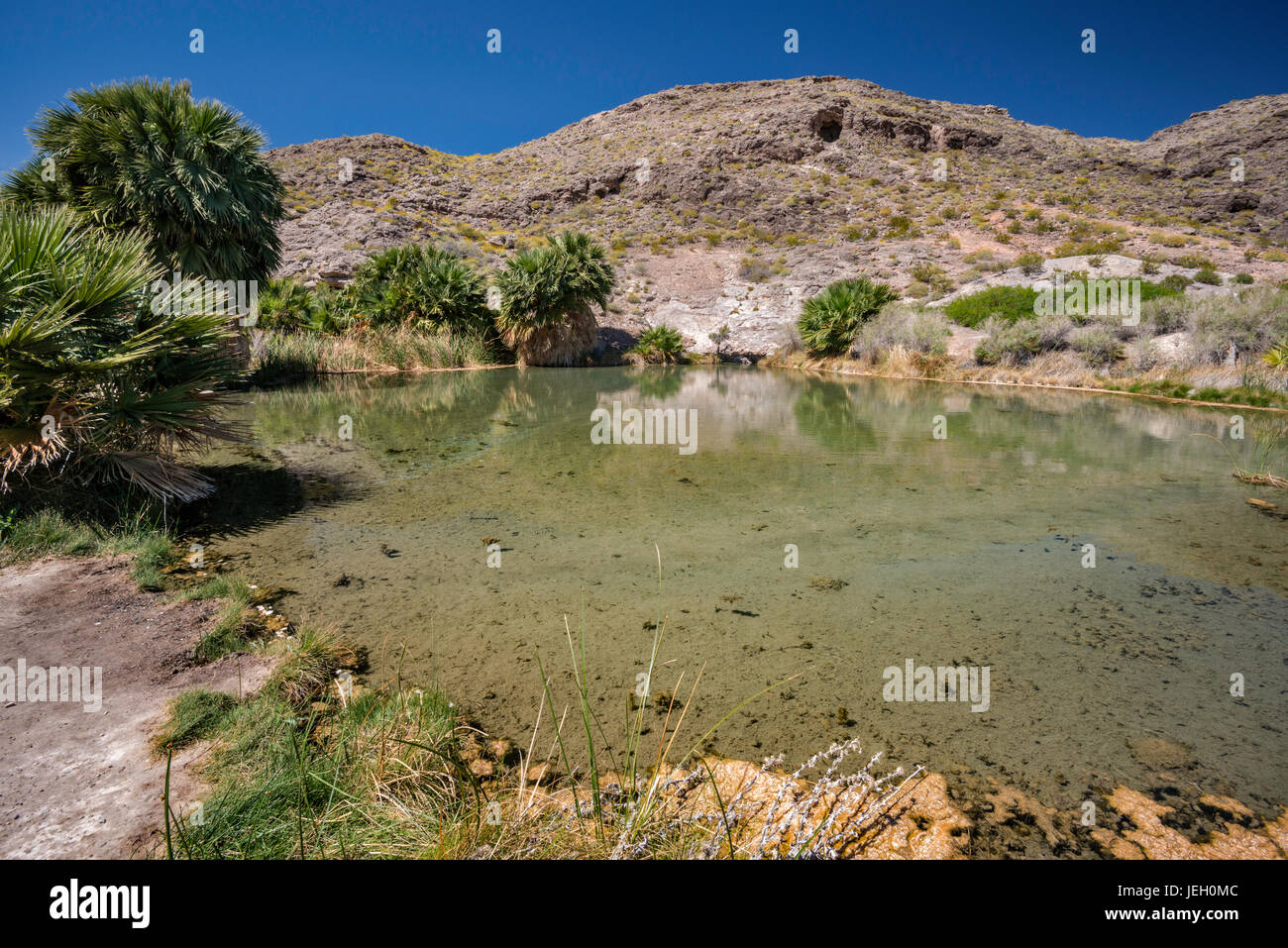 Pond at Rogers Spring, geothermal hot spring oasis near Northshore Road ...