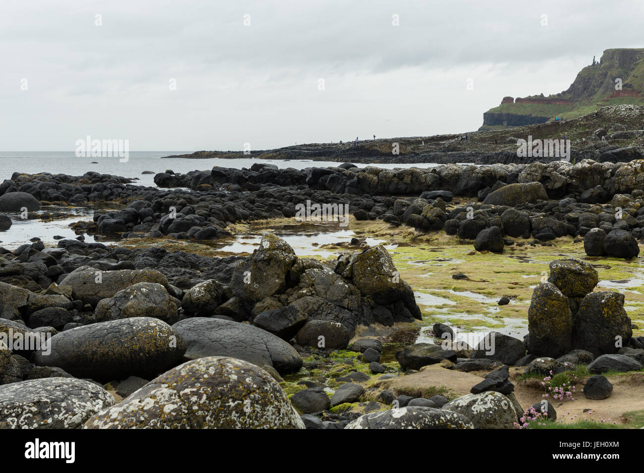 rugged Atlantic coastline of the Giant's Causeway Stock Photo - Alamy