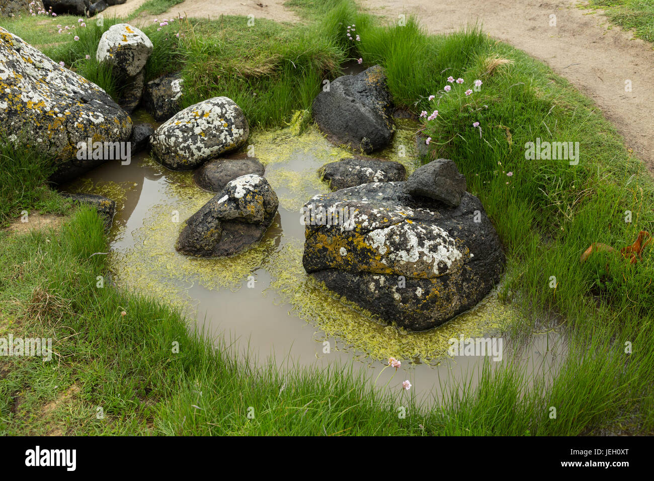 rugged Atlantic coastline of the Giant's Causeway Stock Photo - Alamy
