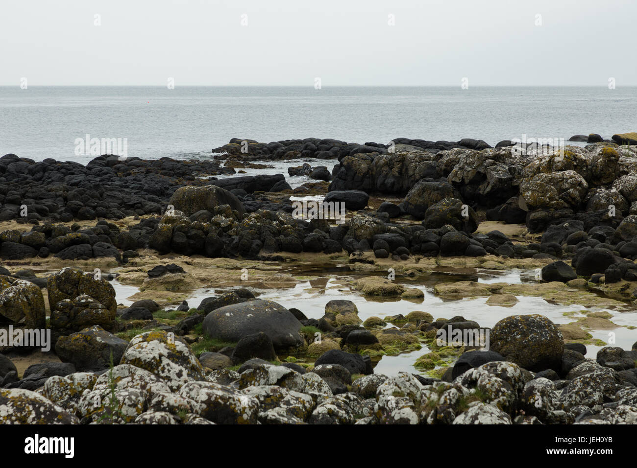 rugged Atlantic coastline of the Giant's Causeway Stock Photo - Alamy