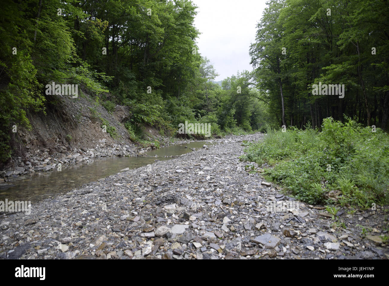 A mountain small river in Nibirjaya. Landscape in the mountains Stock ...