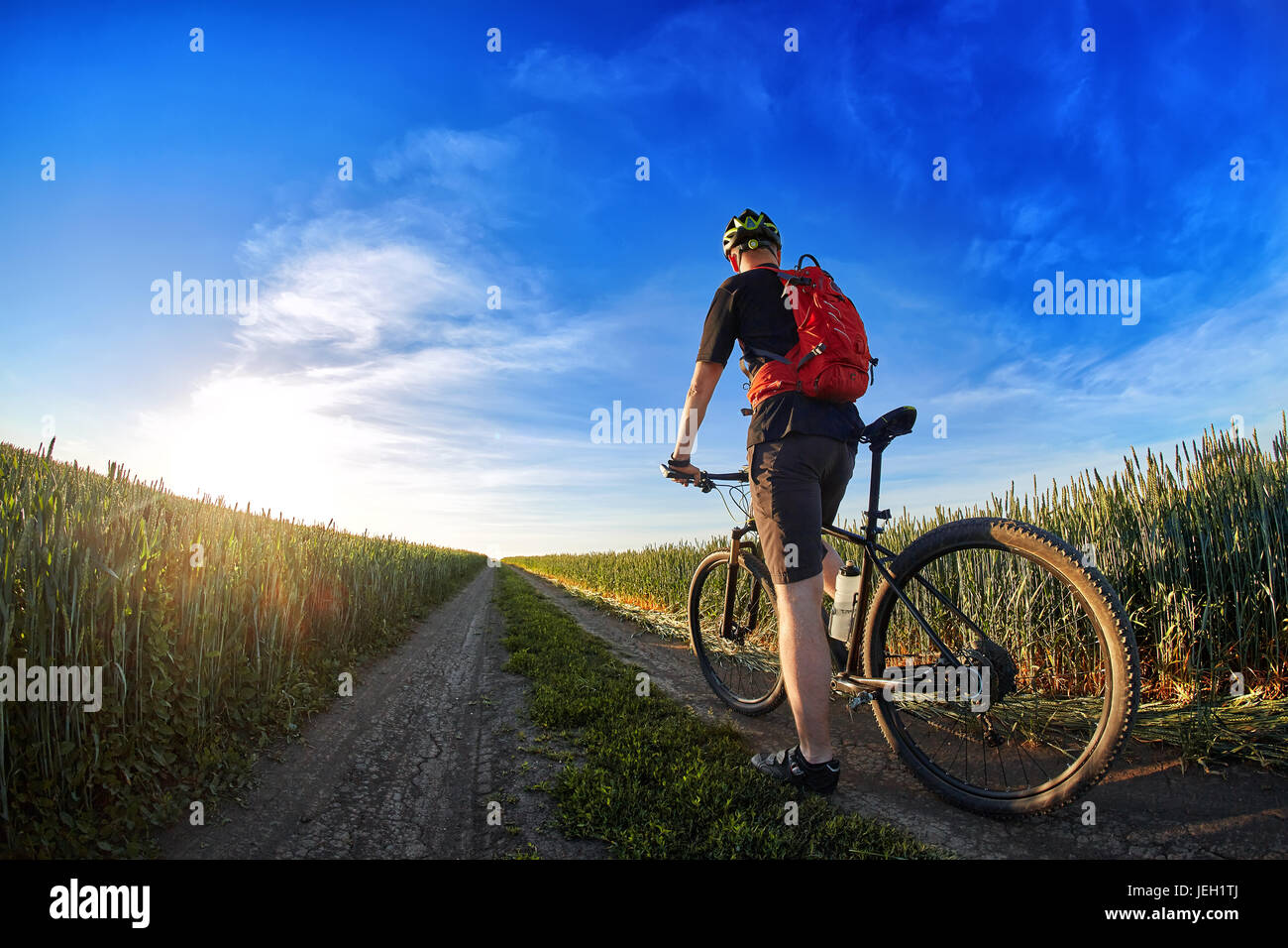 Rear view of the cyclist riding mountain bike on the trail against ...