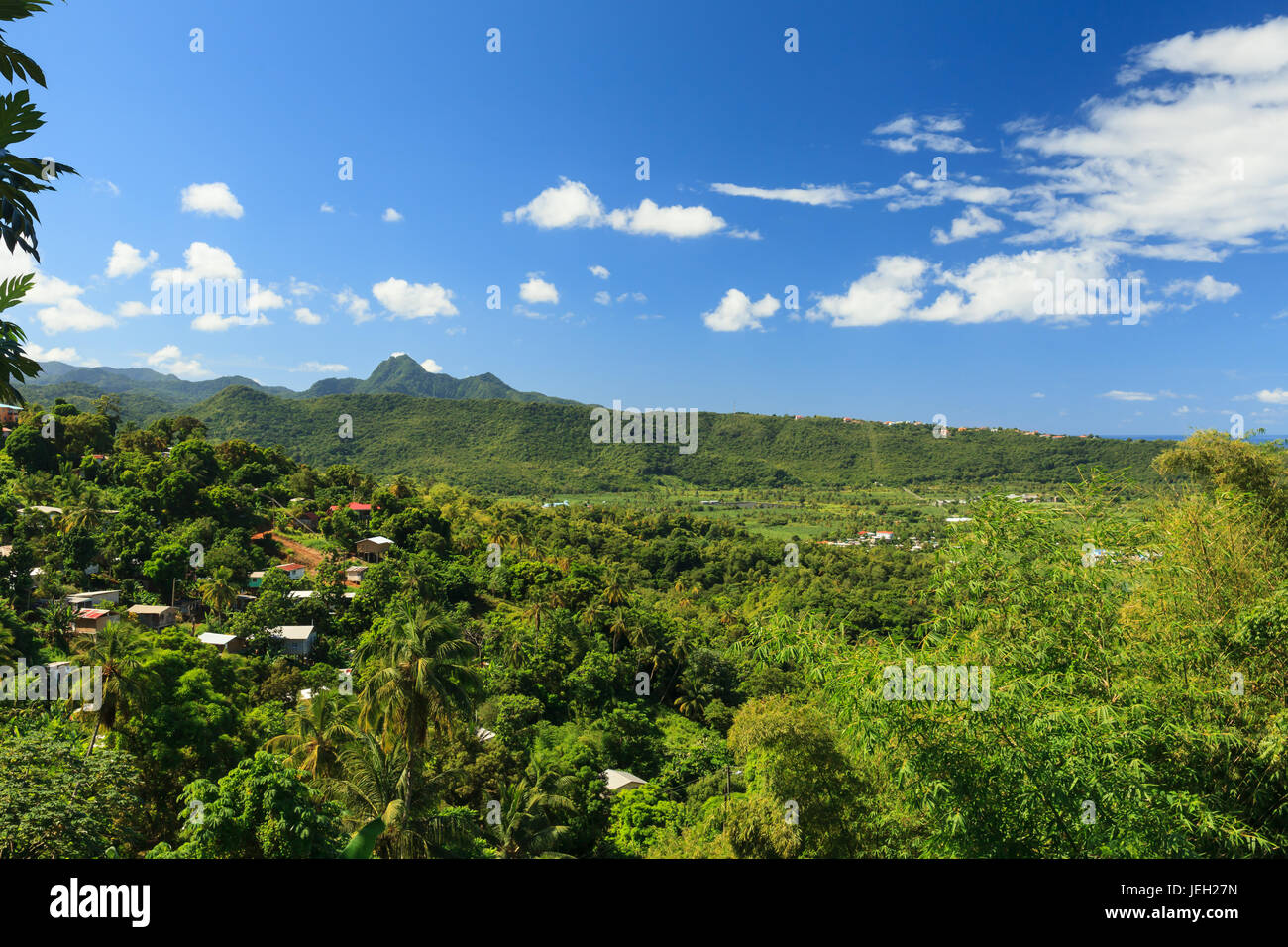 St Lucia Rainforest. St Lucia is an island in the Caribbean and much of ...