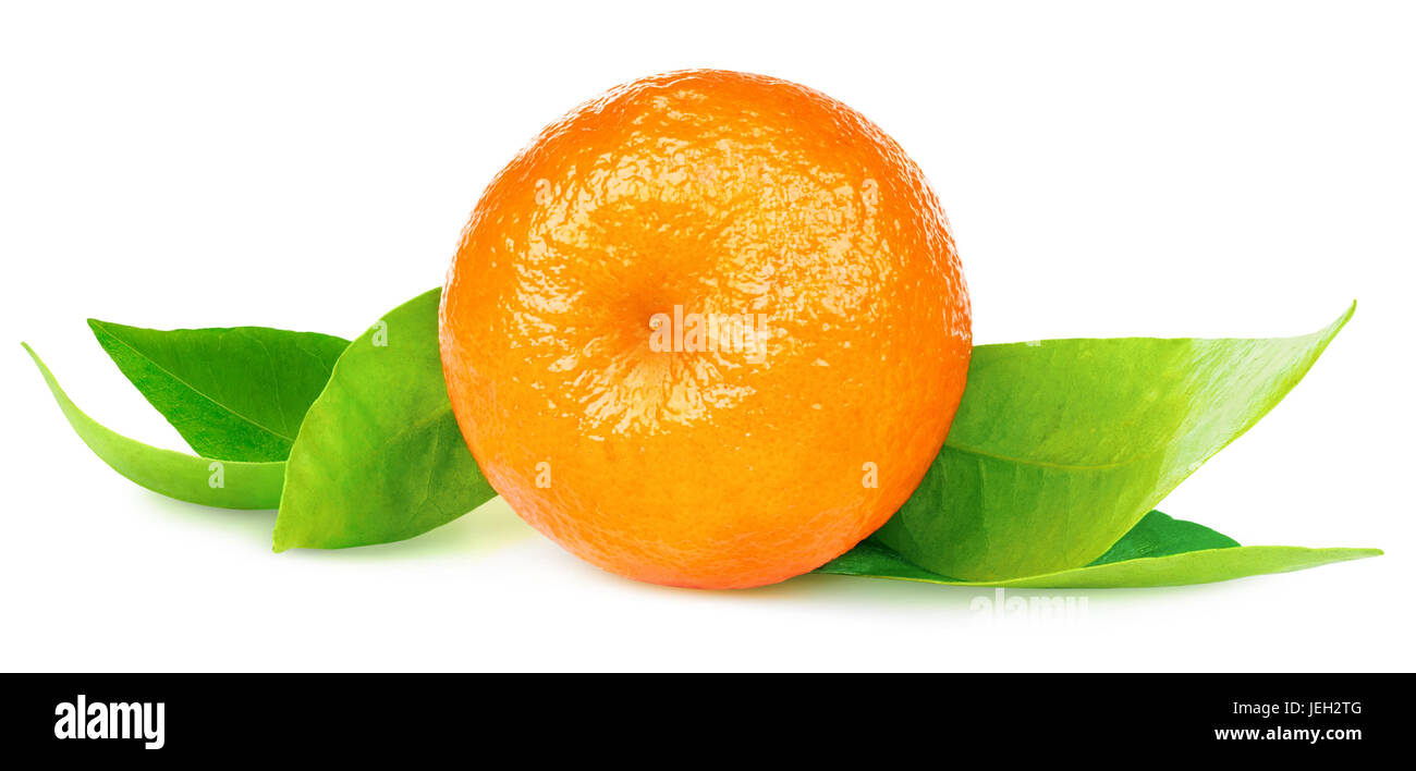 One mandarin fruit hi-res stock photography and images - Alamy