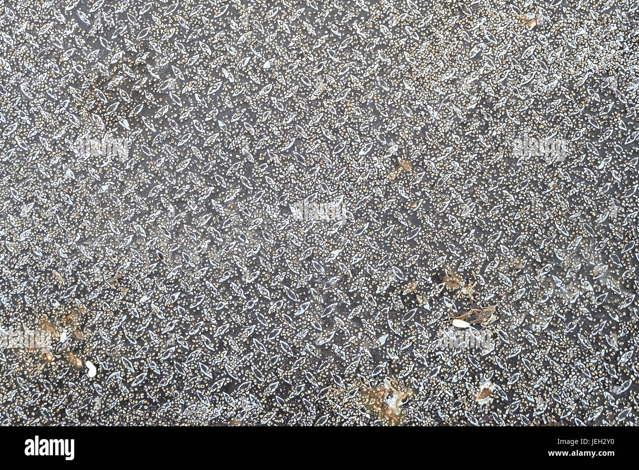 Steel floor for background or texture. Front view of pattern on gray ...