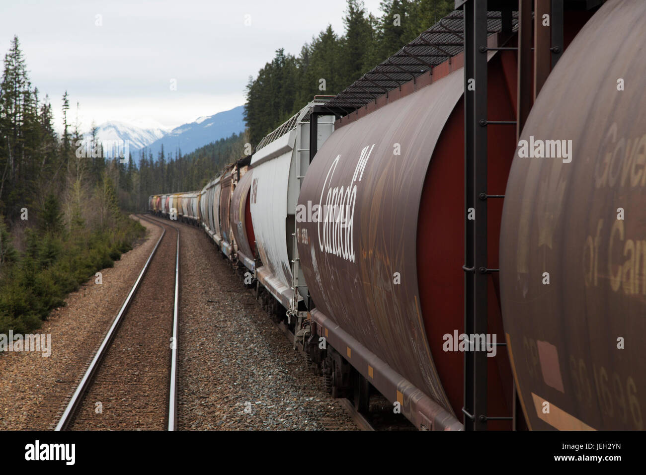 A freight train running on the Canadian Pacific Railway near Revelstoke ...