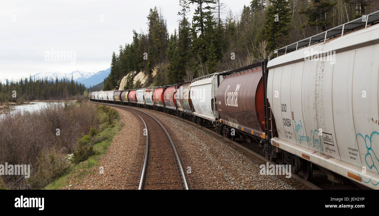 A freight train running on the Canadian Pacific Railway near Revelstoke in British Columbia ...