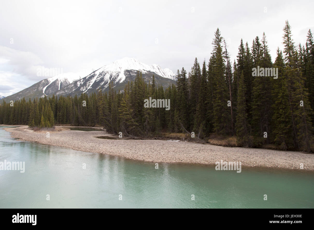 Snow-capped mountain by the Bow River in Alberta, Canada. Forest surrounds the mountains Stock ...