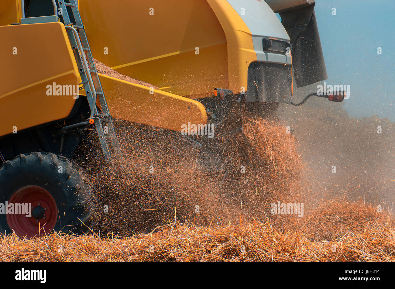 Grain harvesting with combine harvester Stock Photo - Alamy