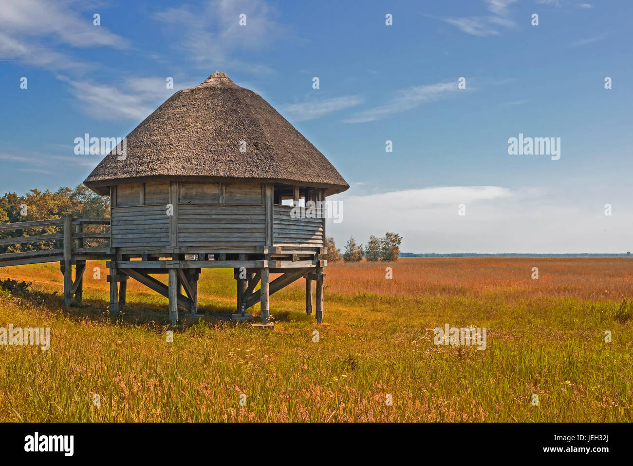 Bird watching hut hi-res stock photography and images - Alamy