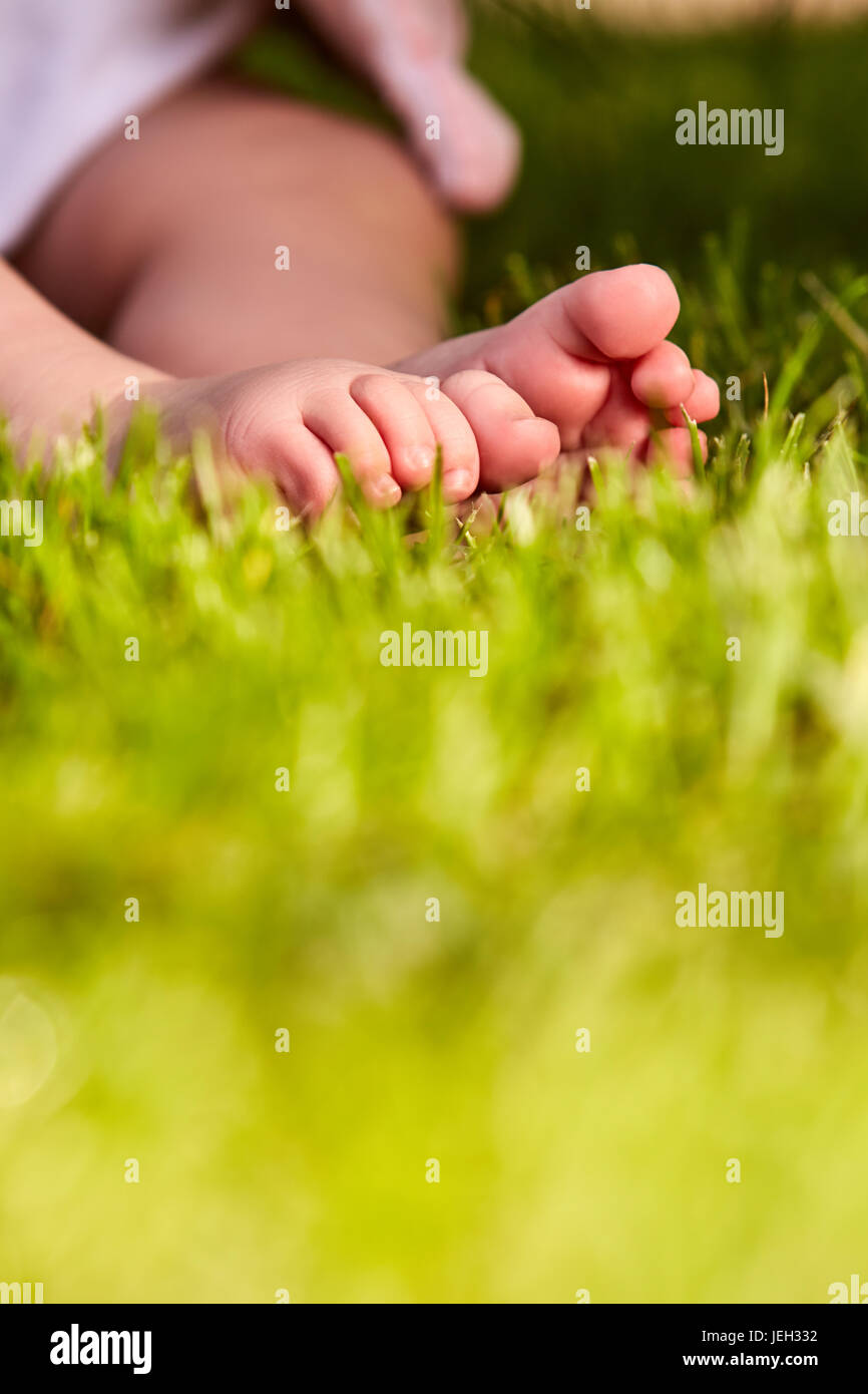 Baby feet in the green grass at summer warm day in the city park Stock ...