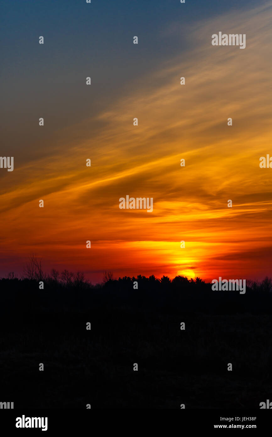Vertical image of a colorful Wisconsin sunrise with a silhouette of ...