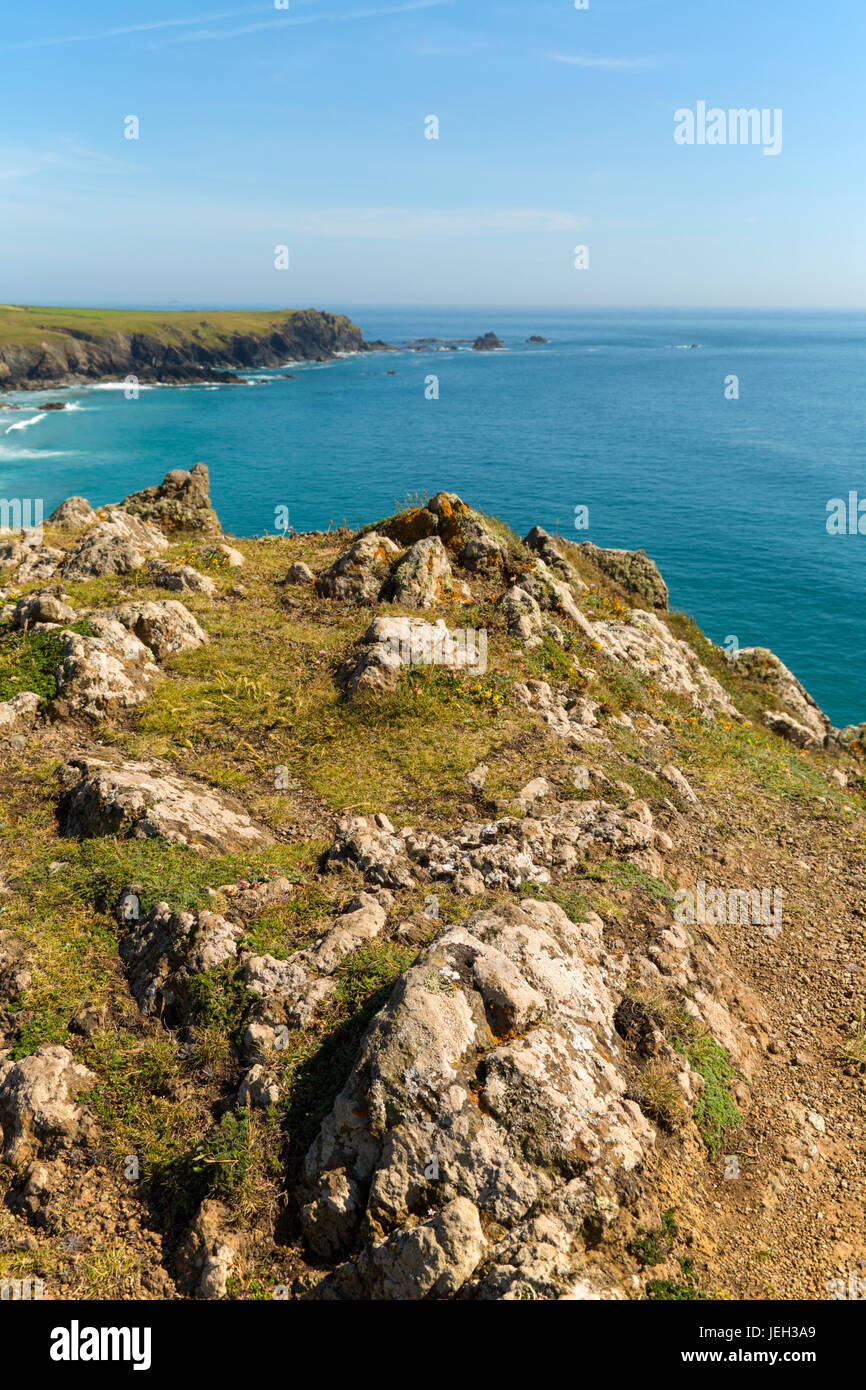 Kynance Cove on the Lizard Coast in Cornwall Stock Photo - Alamy