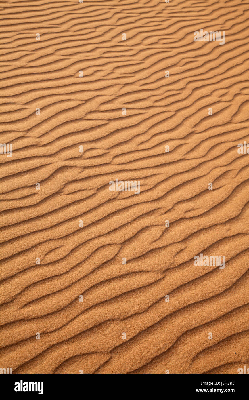 Red sand "Arabian desert" near Dubai, United Arab Emirates Stock Photo ...